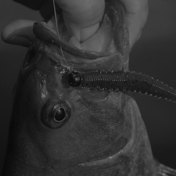 The Ned Rig | Strike King Lure Company