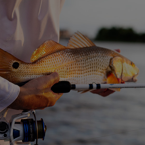 Strike King Adds New Offerings to Saltwater Line Up | Strike King Lure ...